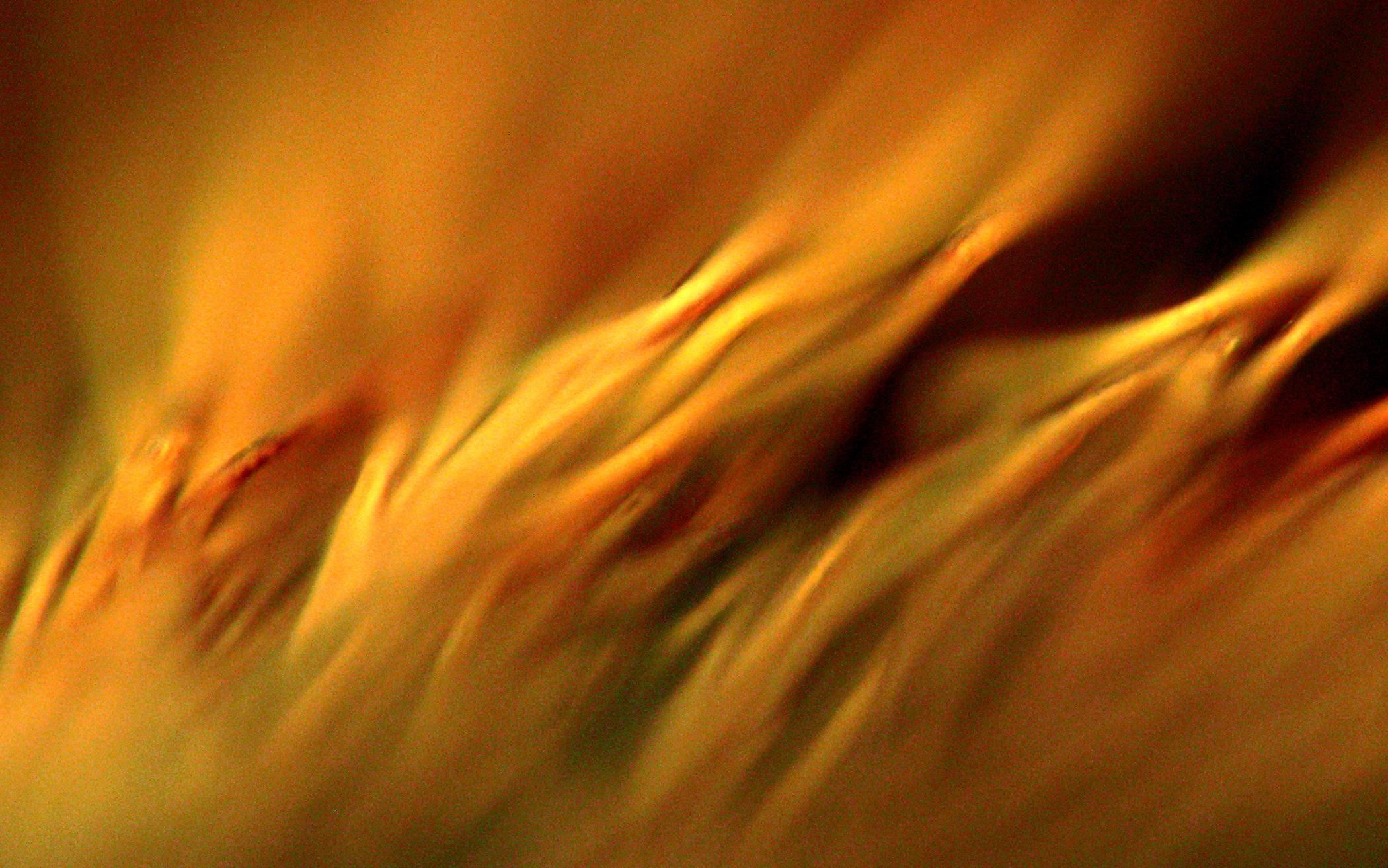 Romans 8:1-8 – The Privilege of Life in the Spirit – Rev. Tim Ehrhardt