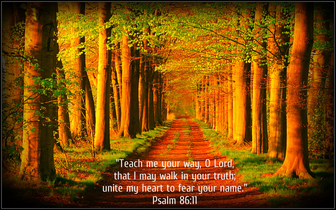 Praise and Prayer (Psalm 86:11-17) – Rev. Tim Ehrhardt