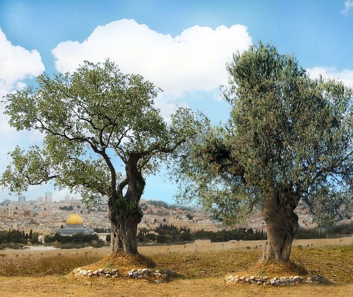 The Coming Judgment (Revelation 11:1-14) – Rev. Tim Ehrhardt